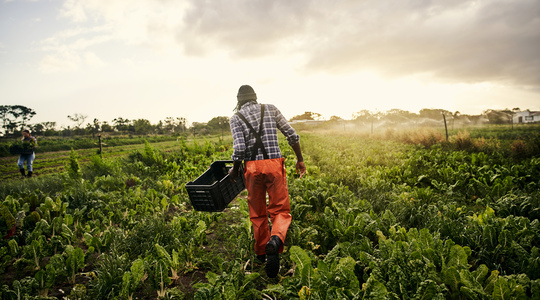 Yara Integrated Report 2021 | Yara International