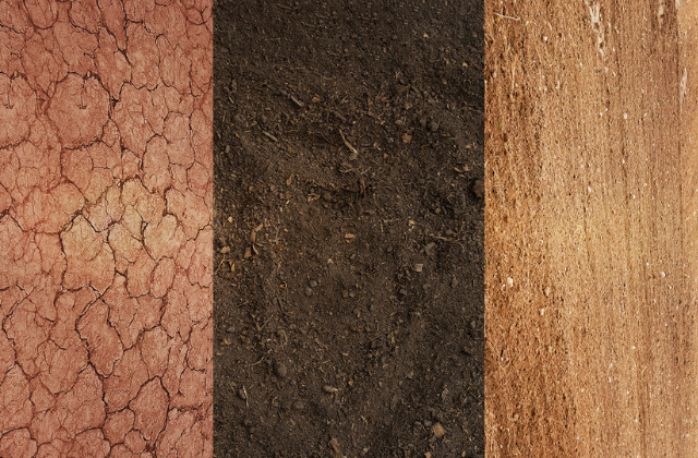 Tipos de solo no Brasil | Yara Brasil