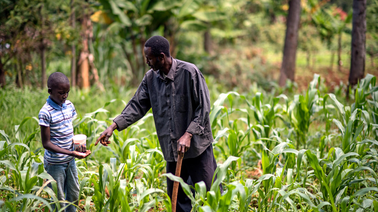 Action Africa | Thriving farms, thriving future | Yara International
